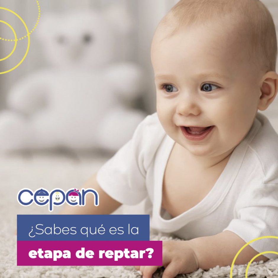 ¿Sabes qué es la etapa de reptar? - cepancepan